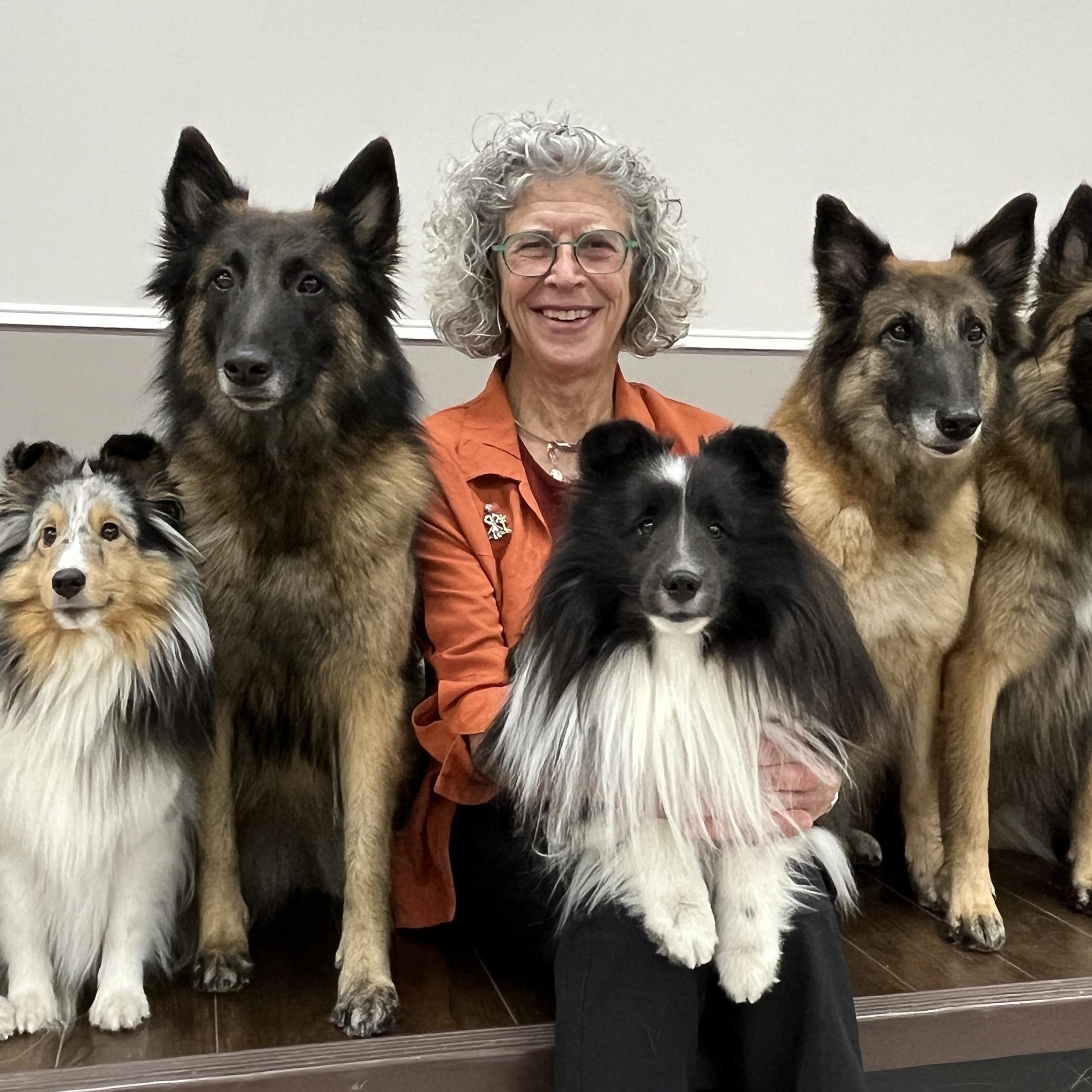 Faut-il mieux encadrer la profession d’éducateur canin? | Radio-Canada
